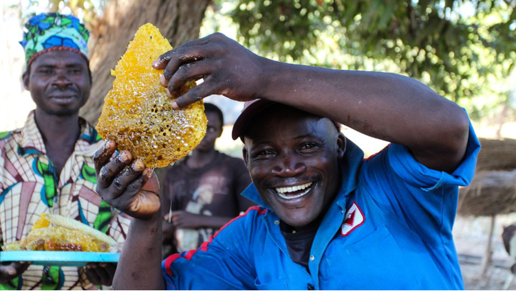 Ottawa Business Journal – African Bronze Honey / 10000 Beekeepers