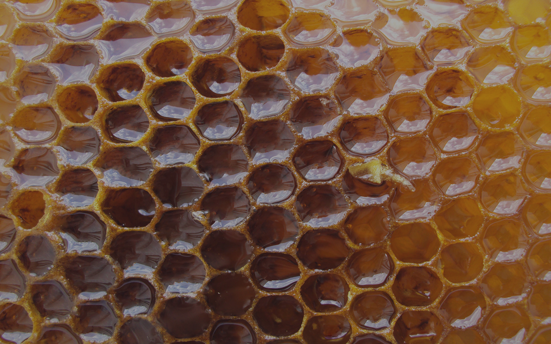 Our Company – African Bronze Honey / 10000 Beekeepers