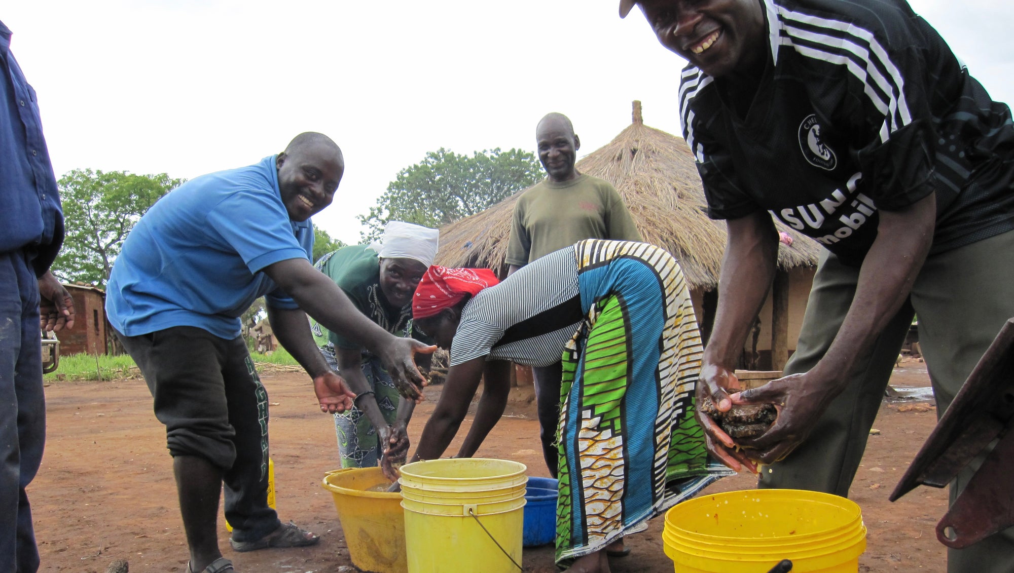 Shop Organic Honey | Sustainably Harvested Forest Honey – African ...
